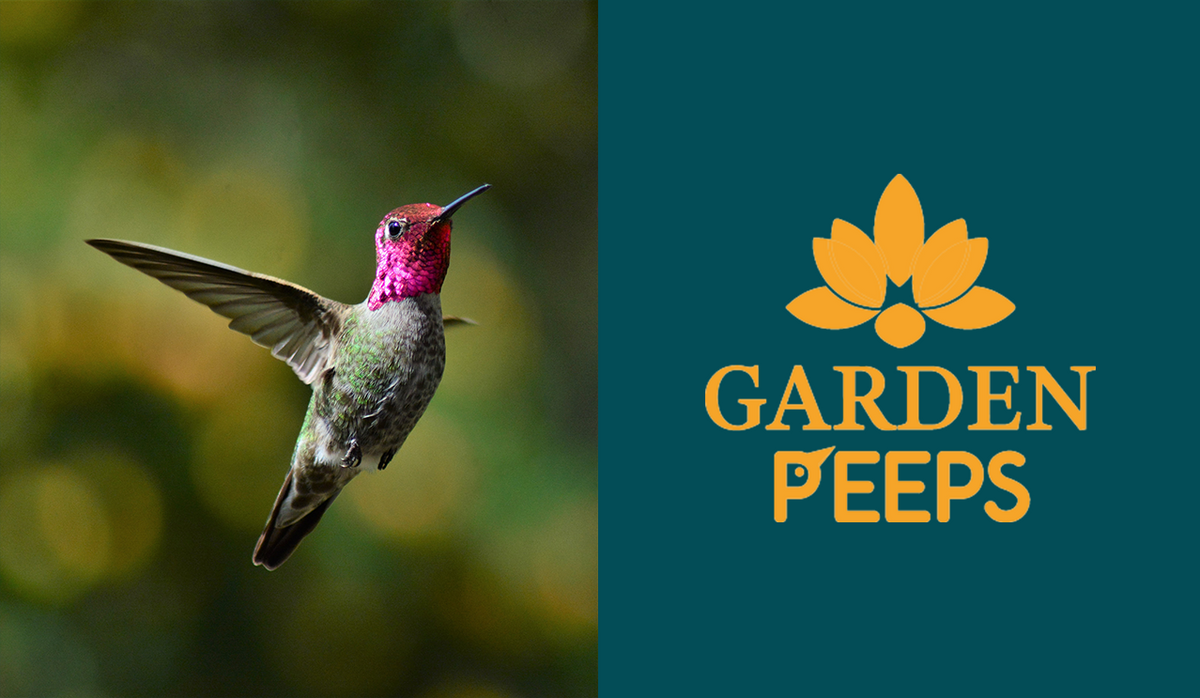 Garden Peeps